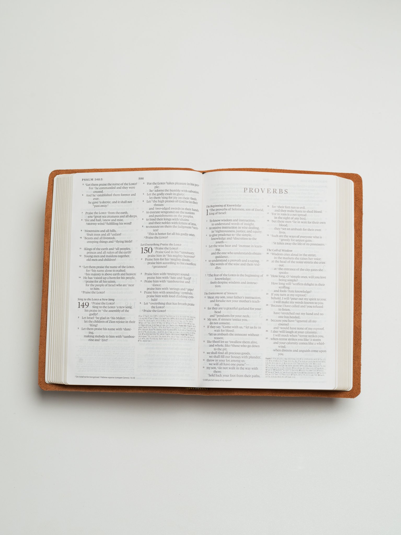 Scriptura Bibles — ESV Compact Bible