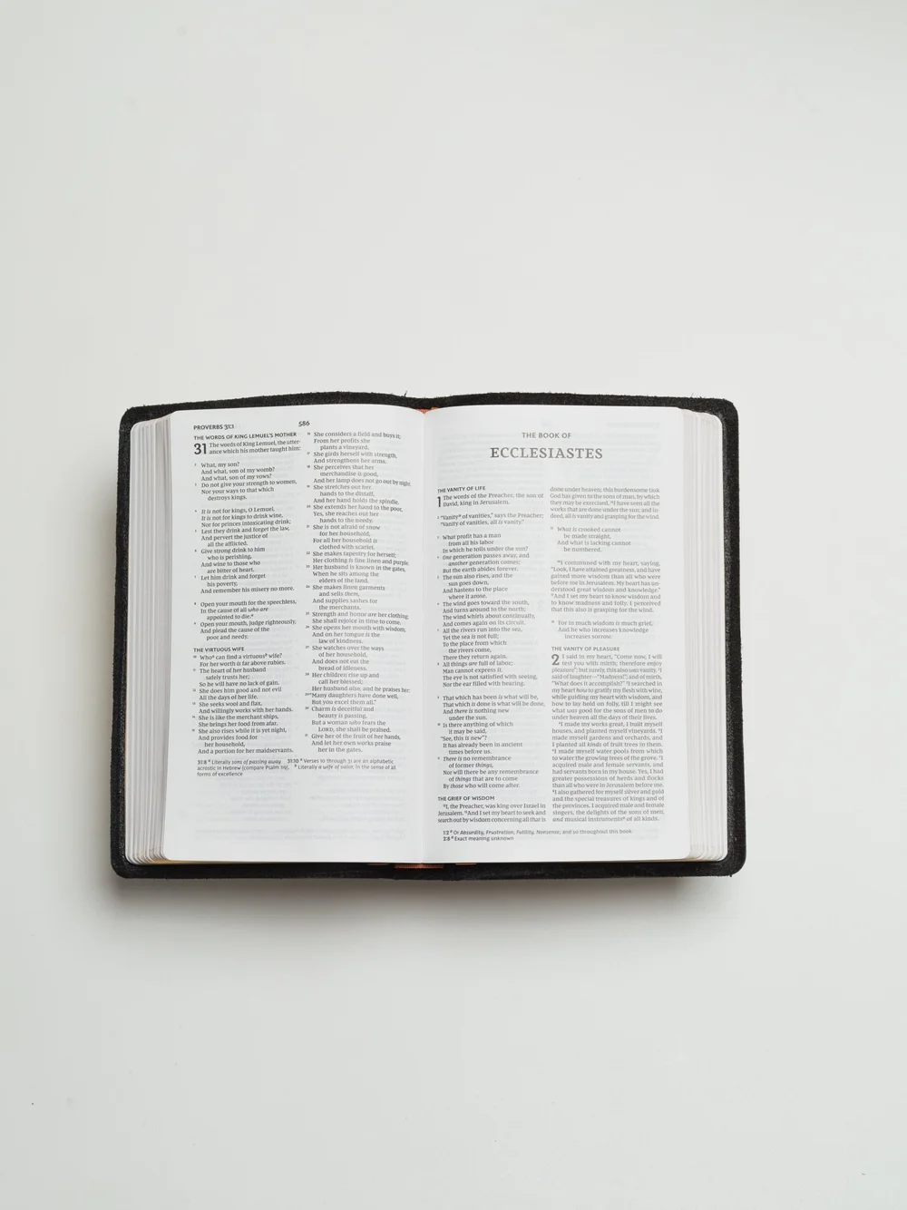 Scriptura Bibles — NKJV Journaling Bible