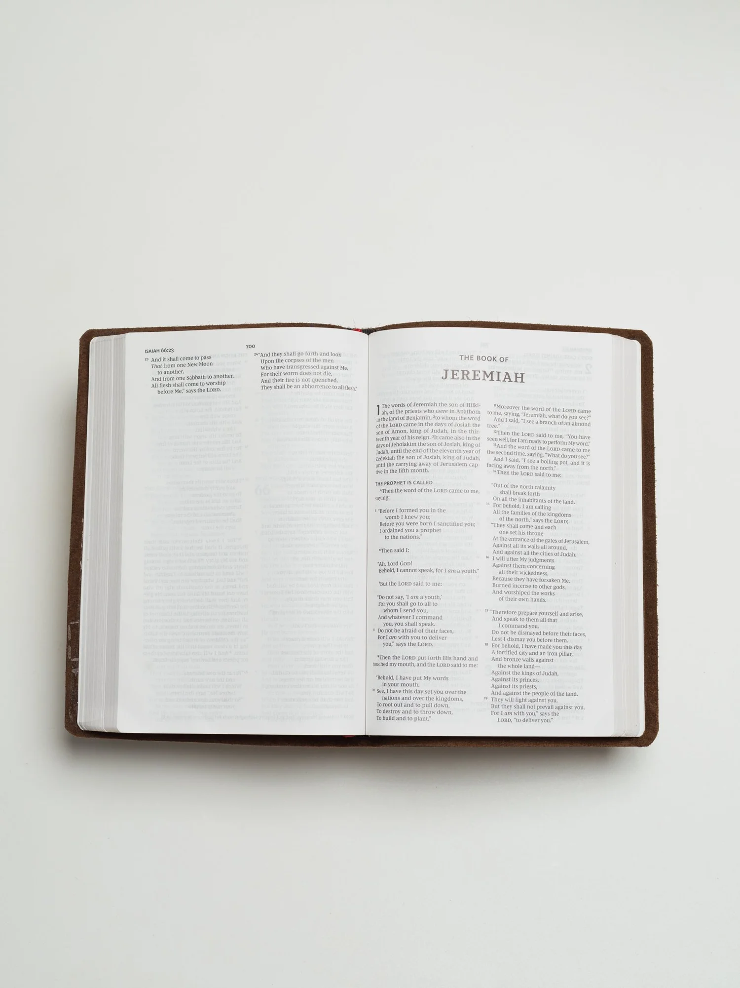 Scriptura Bibles — NKJV Thinline Bible