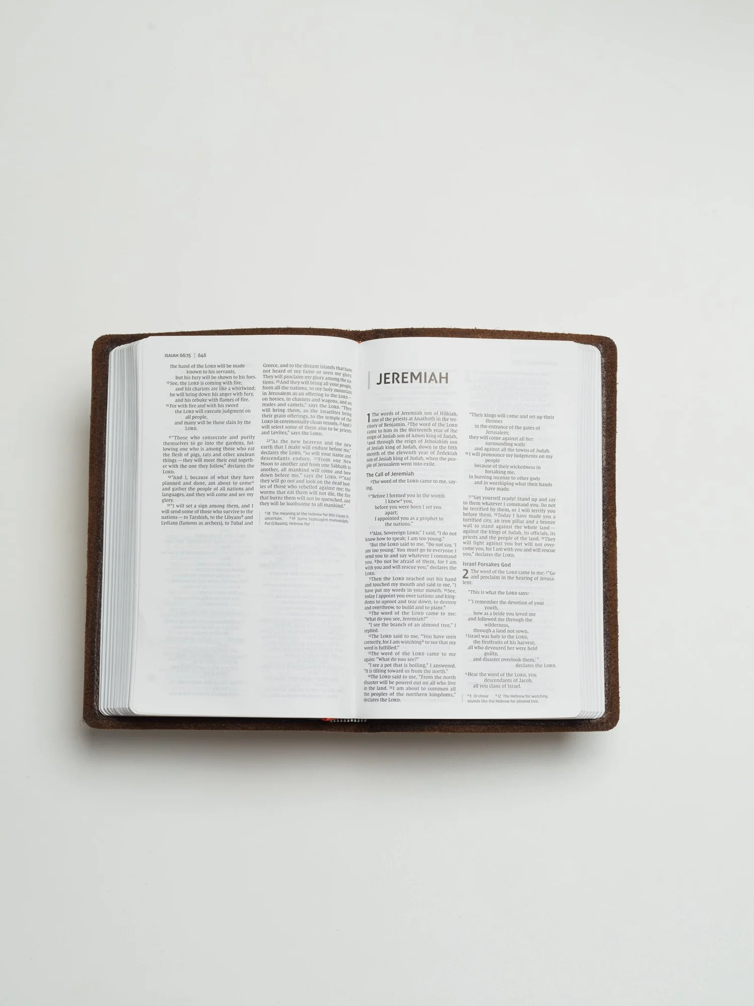 Scriptura Bibles — NIV Journaling Bible