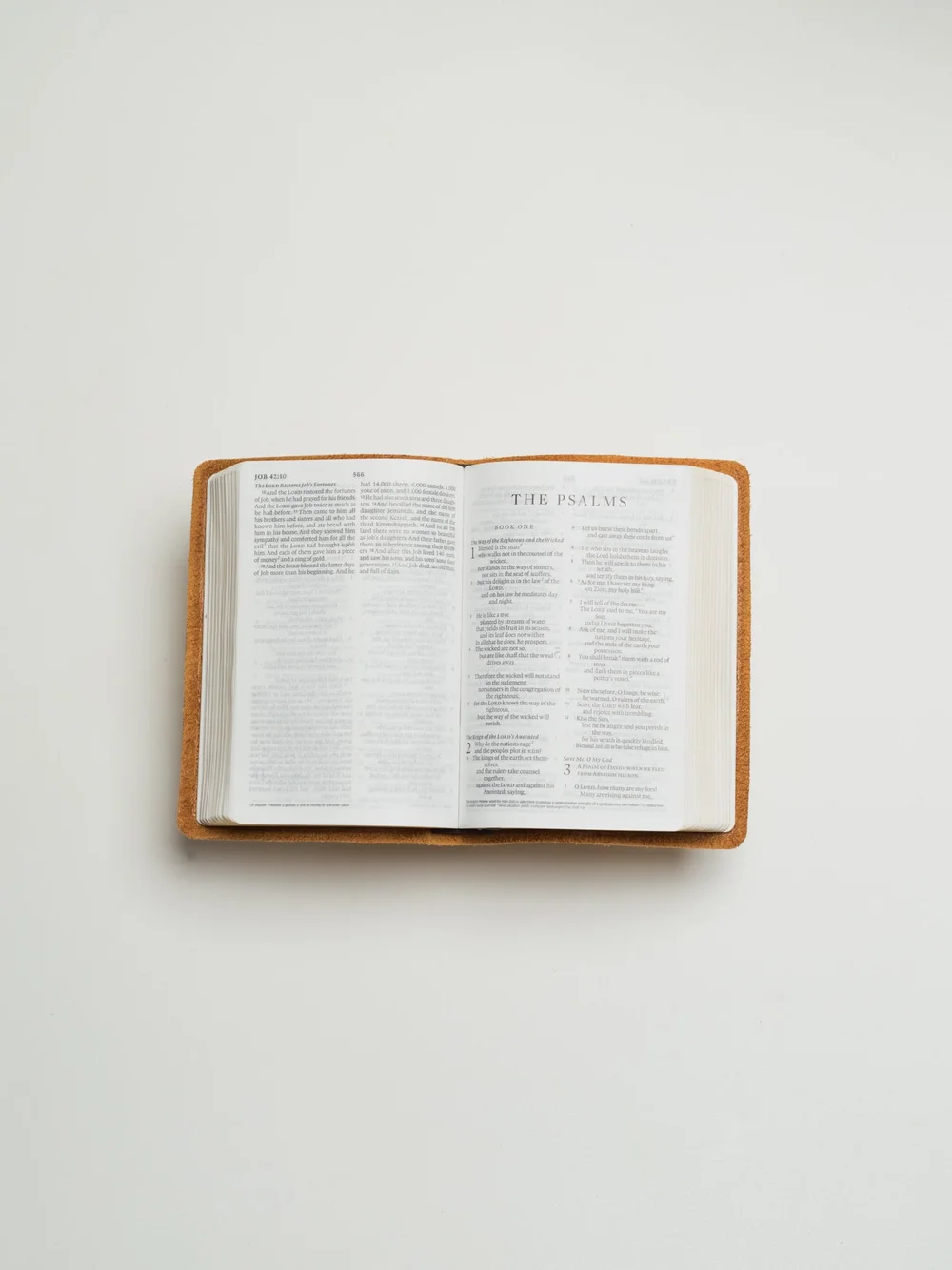 Scriptura Bibles — ESV Large Print Thinline Bible
