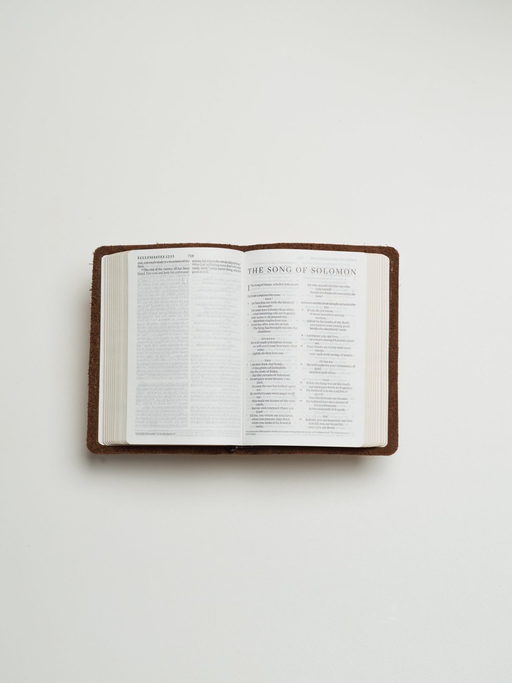 Scriptura Bibles — ESV Study Bible