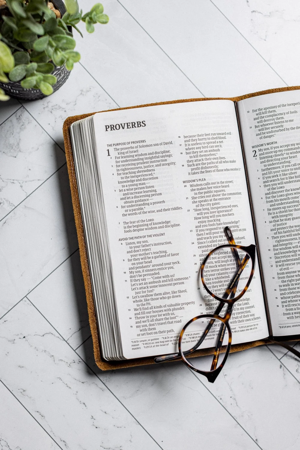 Scriptura Bibles — Shop