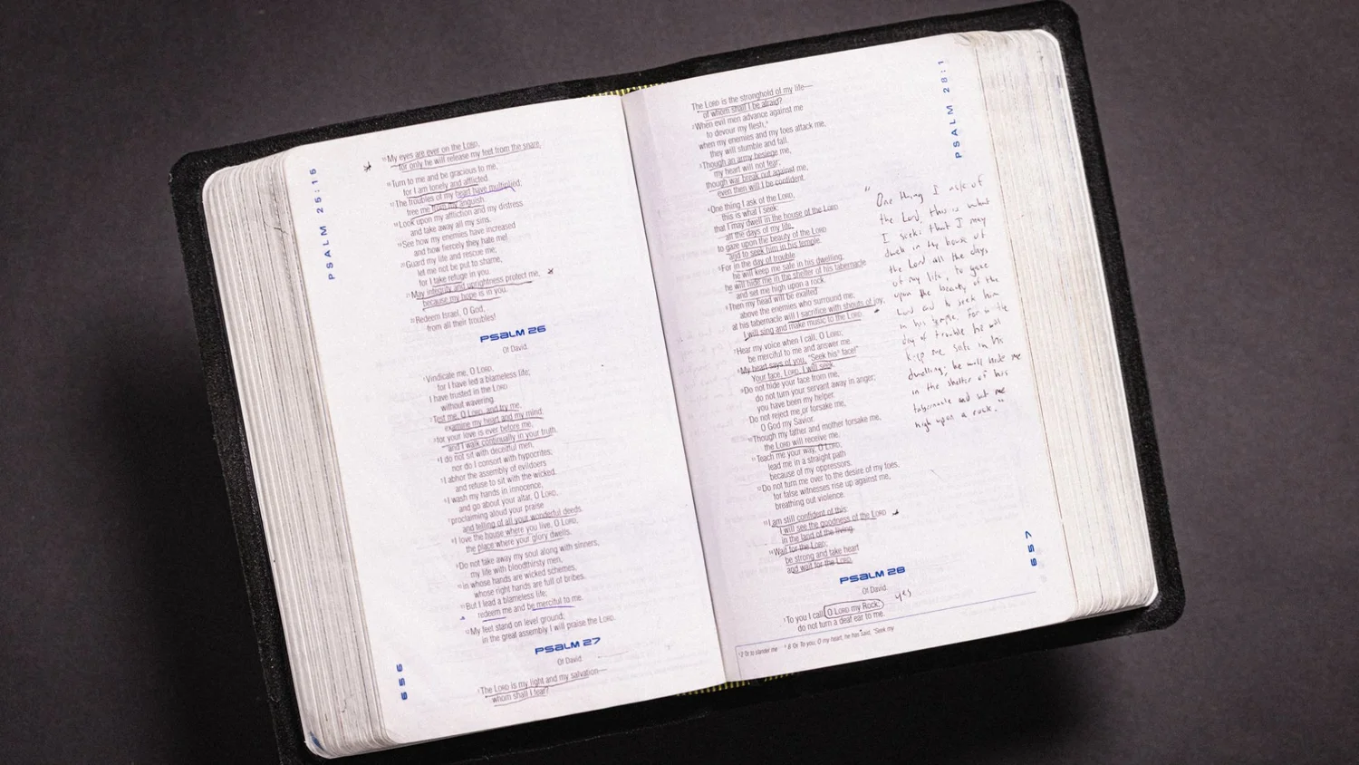 Scriptura Bibles — 5 Reasons to Write in Your Bible