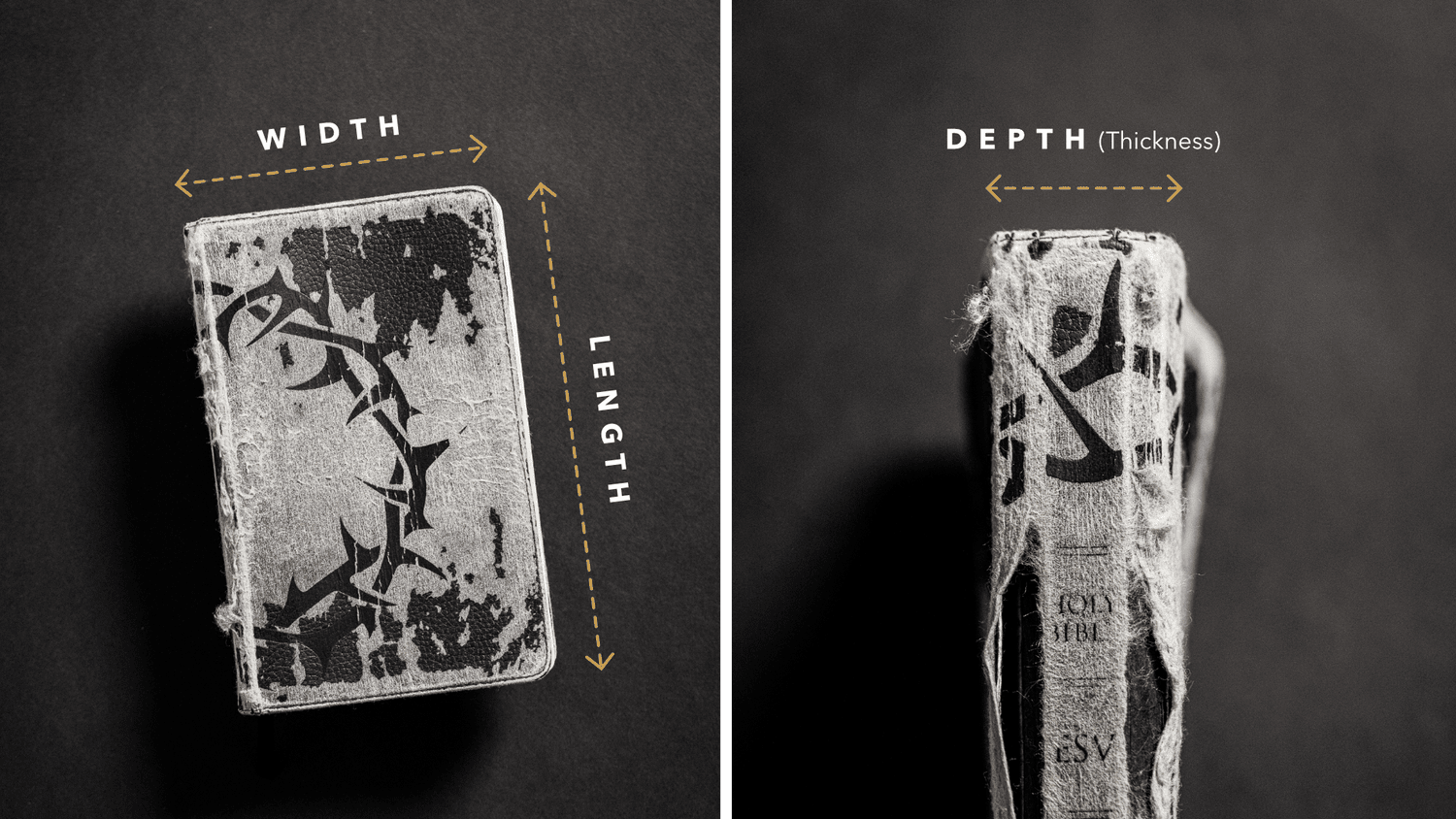 Scriptura Bibles — How To Measure Your Bible