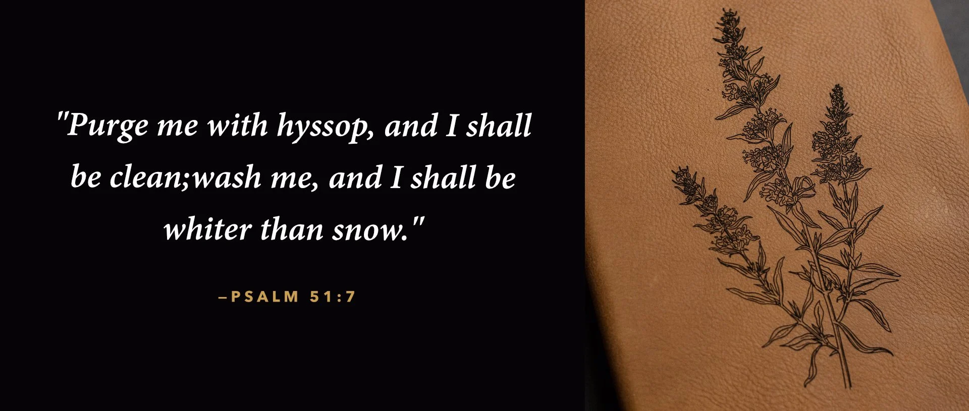 Scriptura Bibles — Branch for Blood.