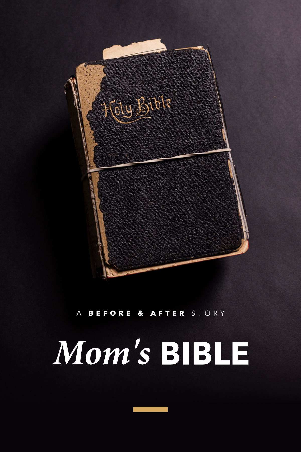 Scriptura Bibles — Bible Restoration Service