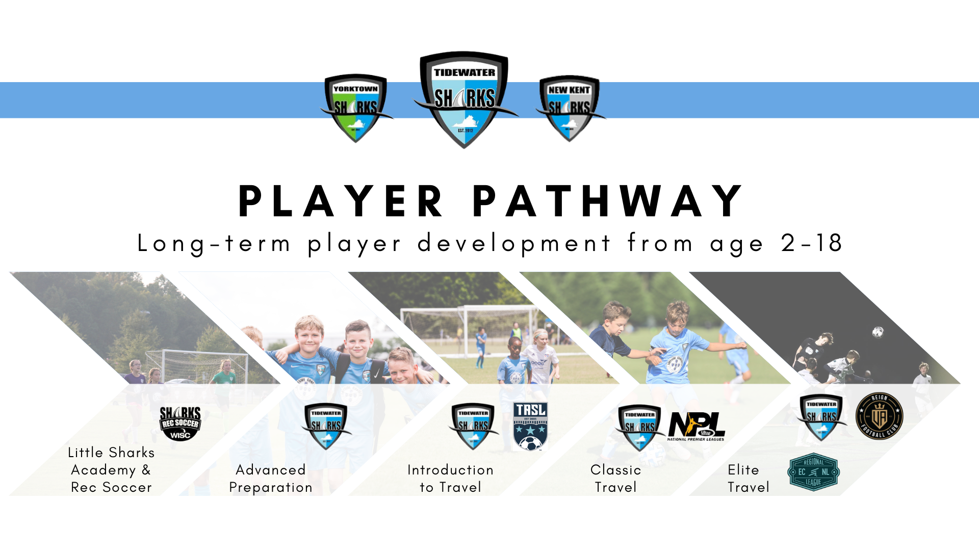 Tidewater Sharks Soccer Club