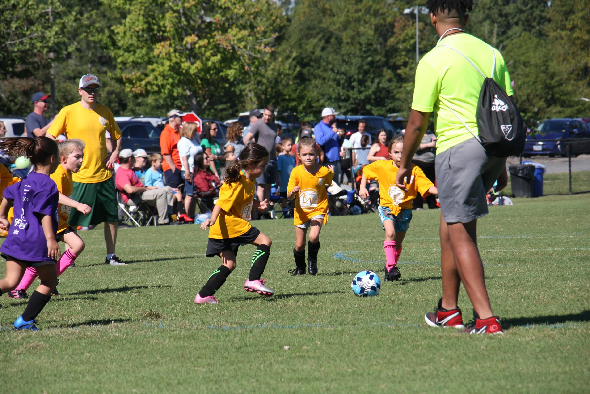 Rec Soccer Williamsburg — Tidewater Sharks Soccer Club