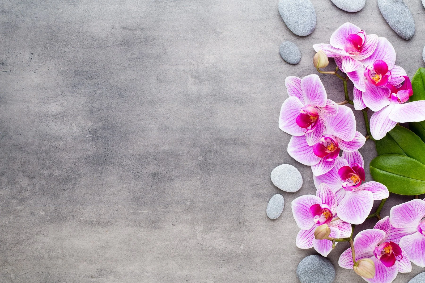 Gentle Wellness Center and Med Spa in Glendale, AZ