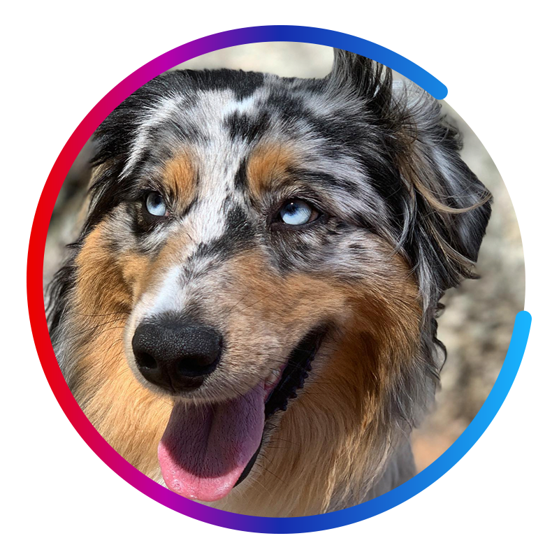 Boston Precision Neurotheraupeutics — Boston Precision Neurotherapeutics