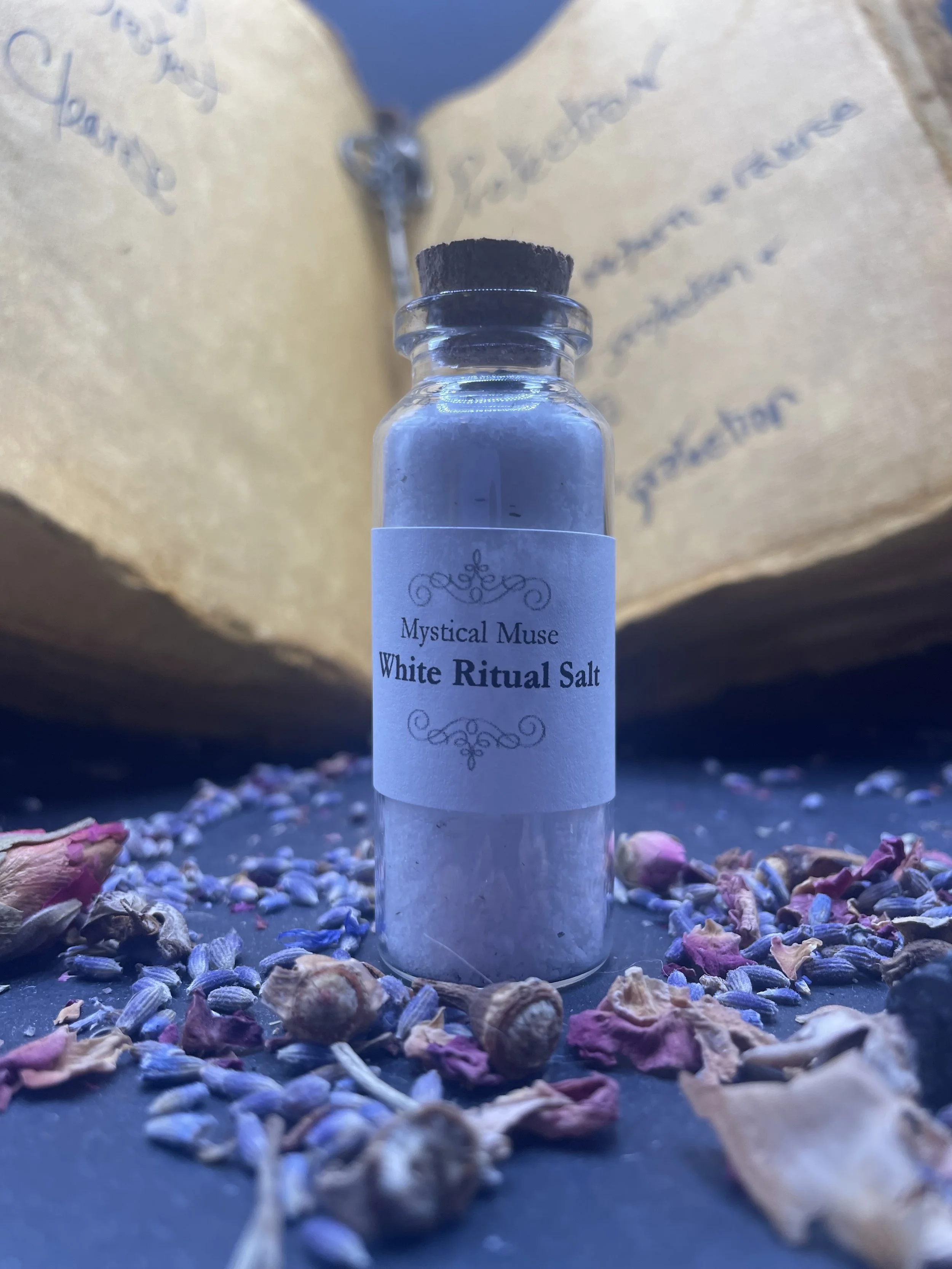 Shop Now — The Mystical Muse