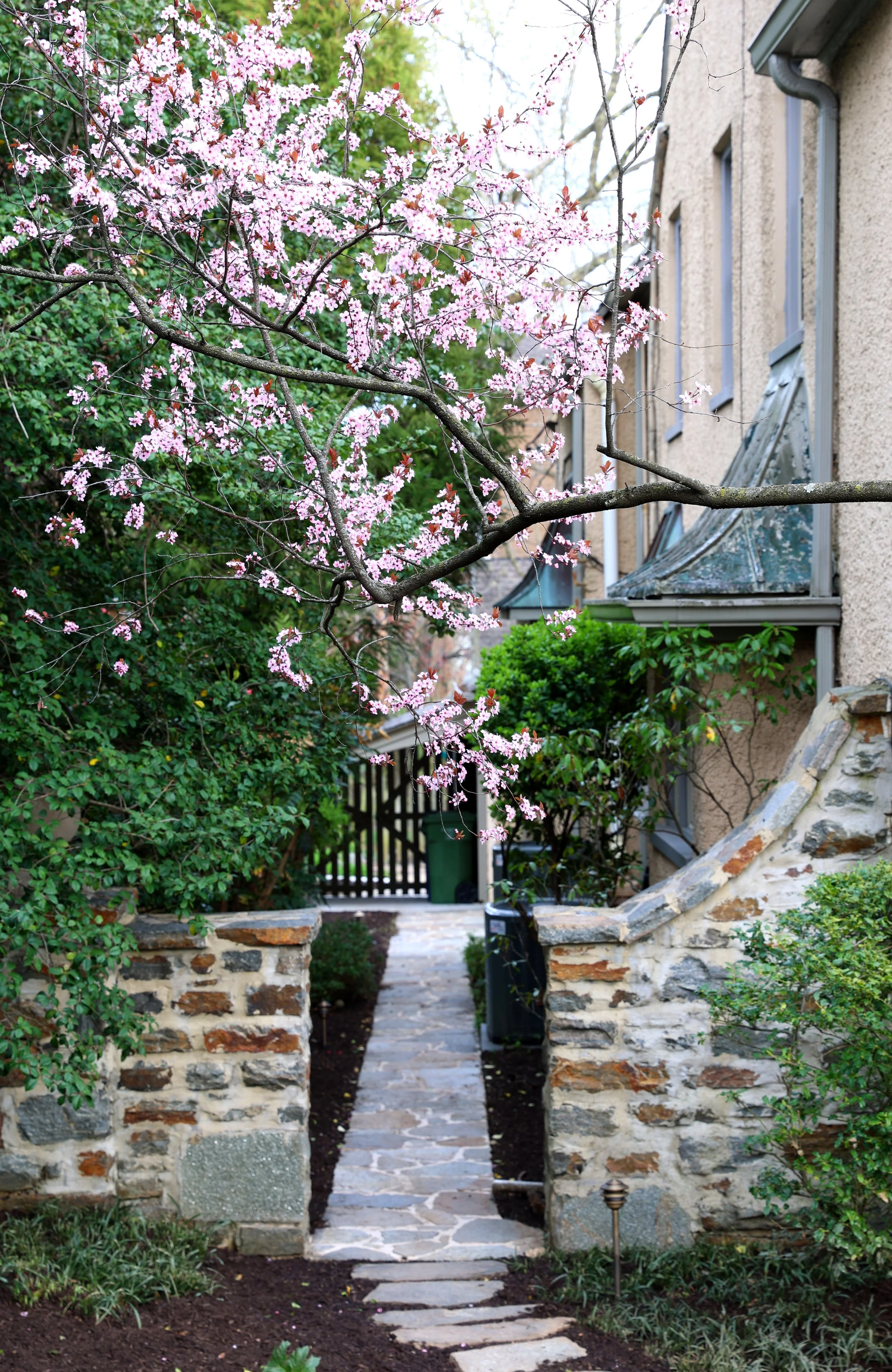 What to Expect — MindWork Group