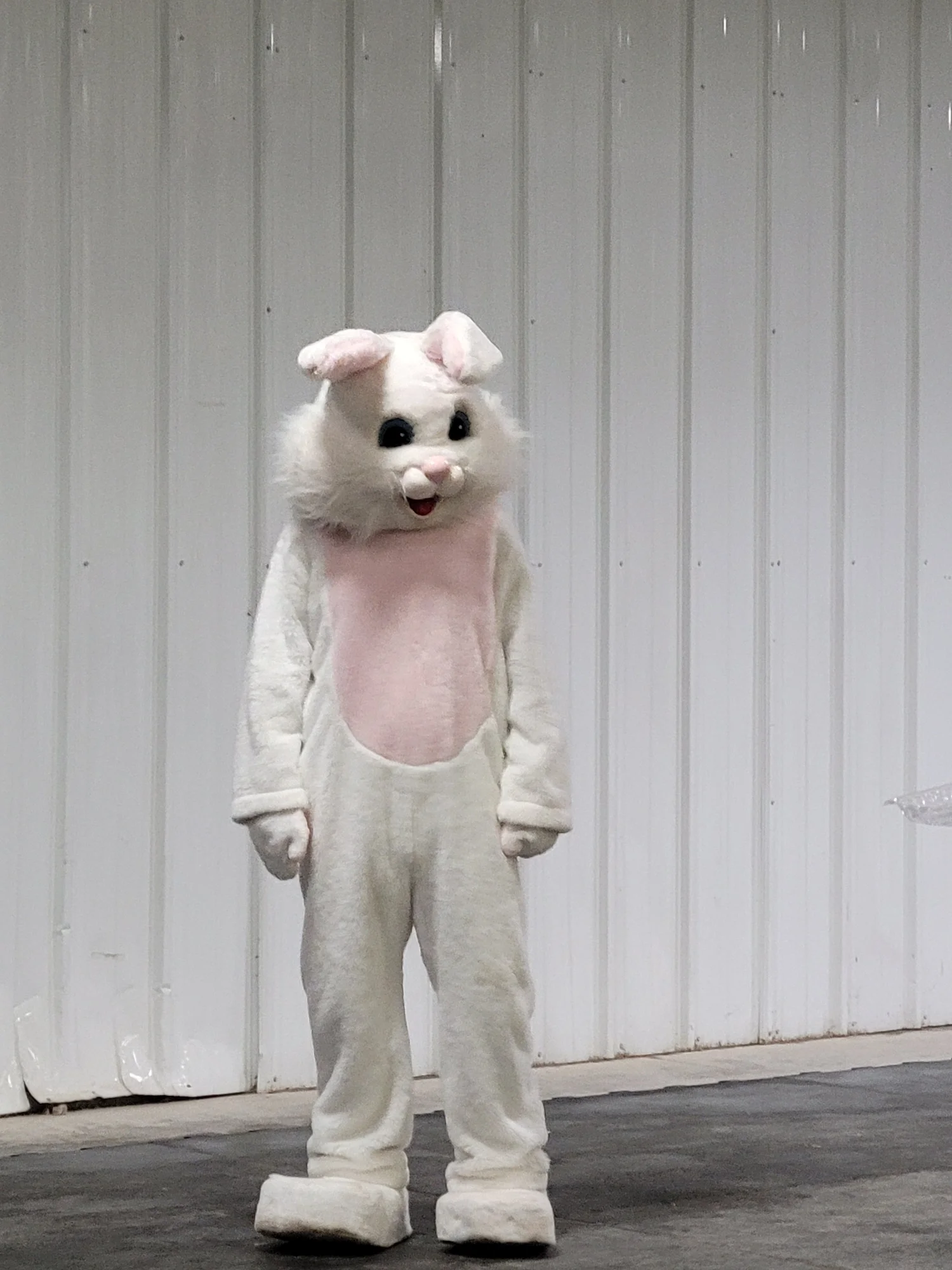 Services 1 — Ohio Arabian Horse Association