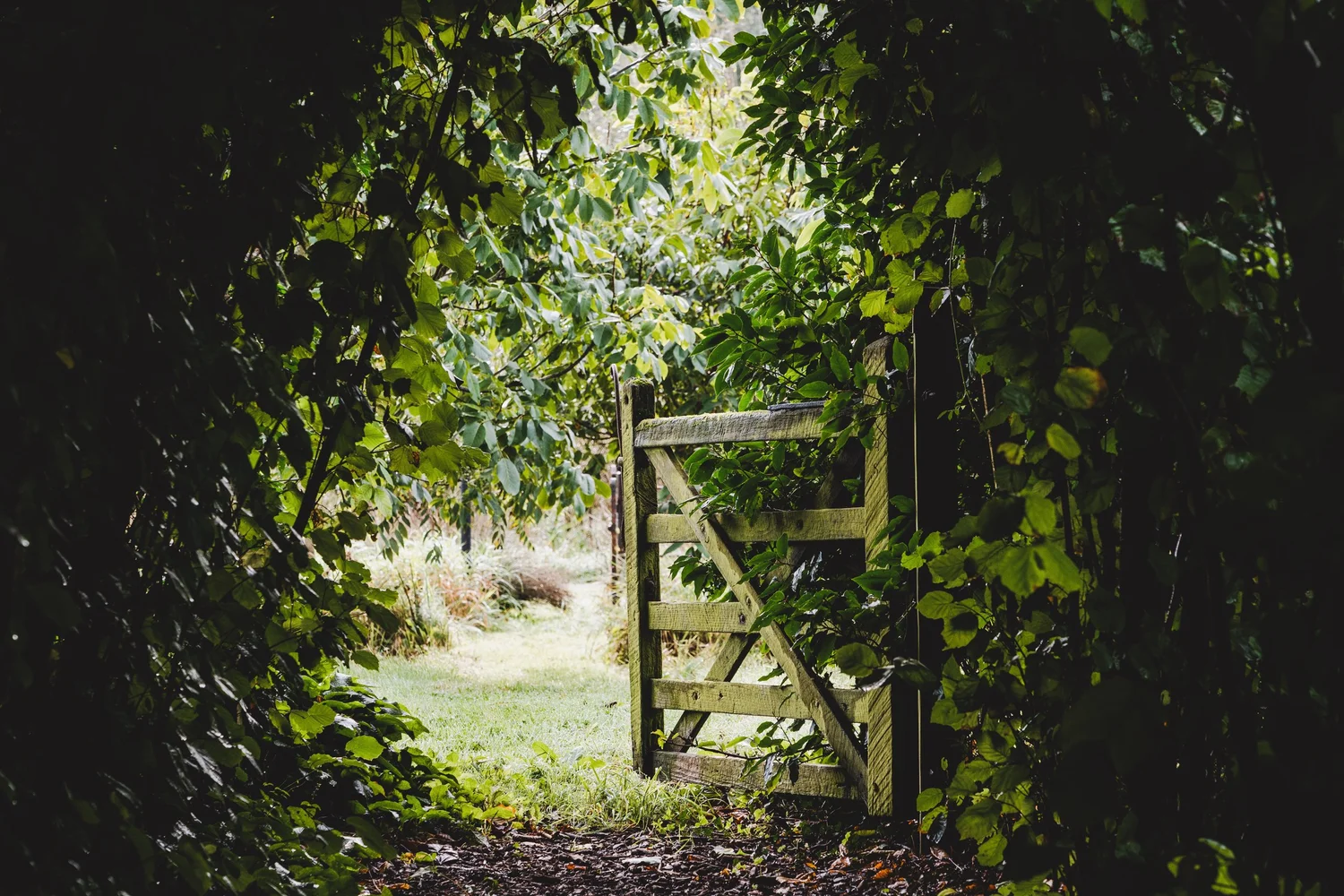 42 Acres — The Global Retreat Company