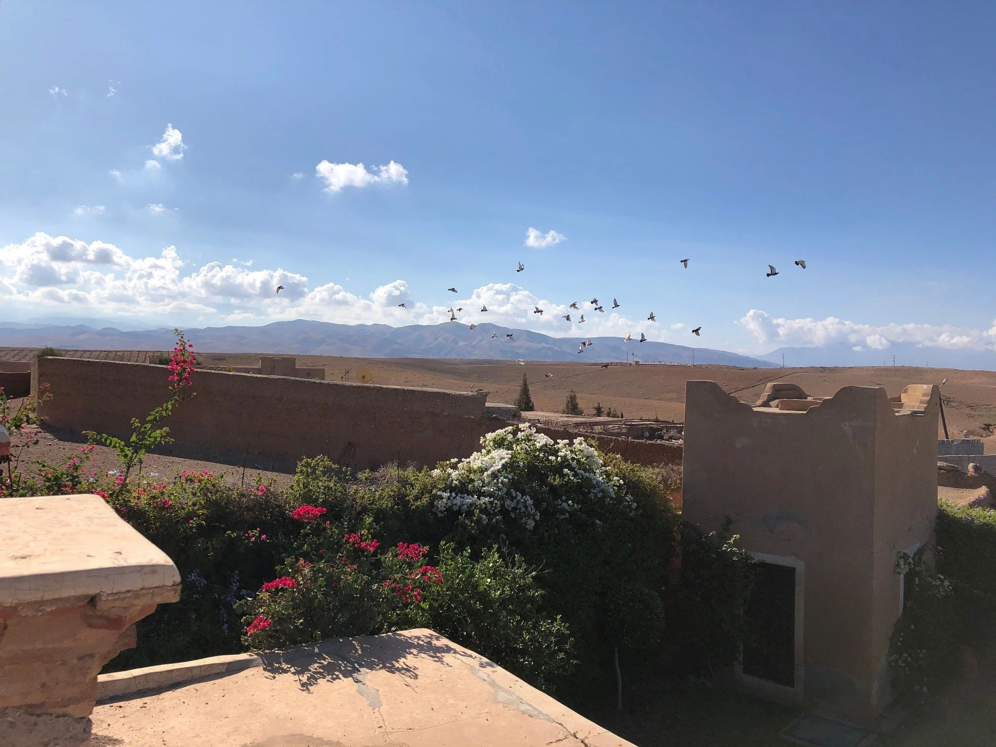 YOAS Yoga Retreats - Africa — The Global Retreat Company