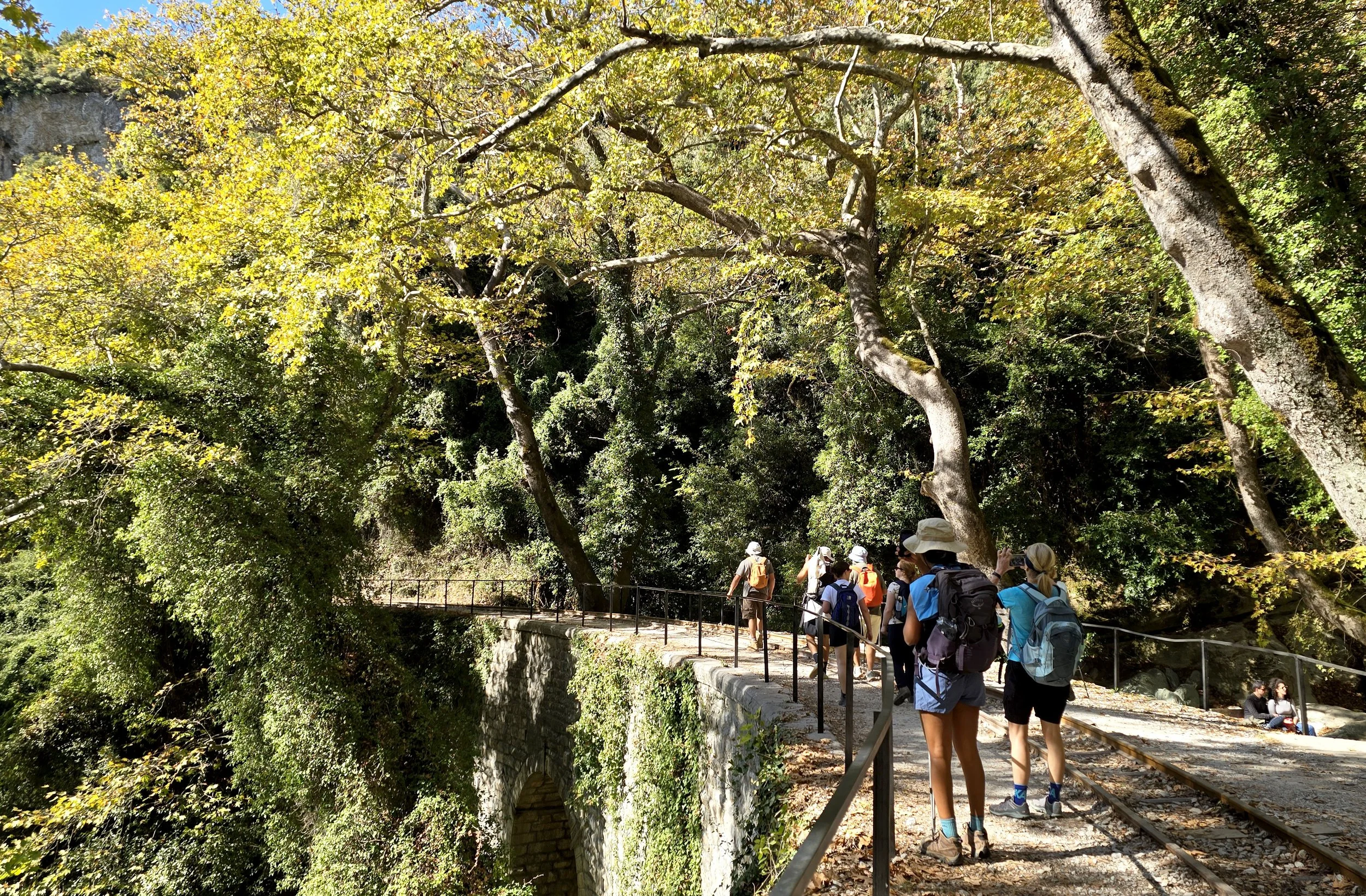 Rooting ourselves in timeless nature on a Nefeli Nine hiking and yoga ...