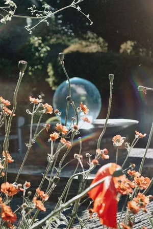 Tofte Manor — The Global Retreat Company