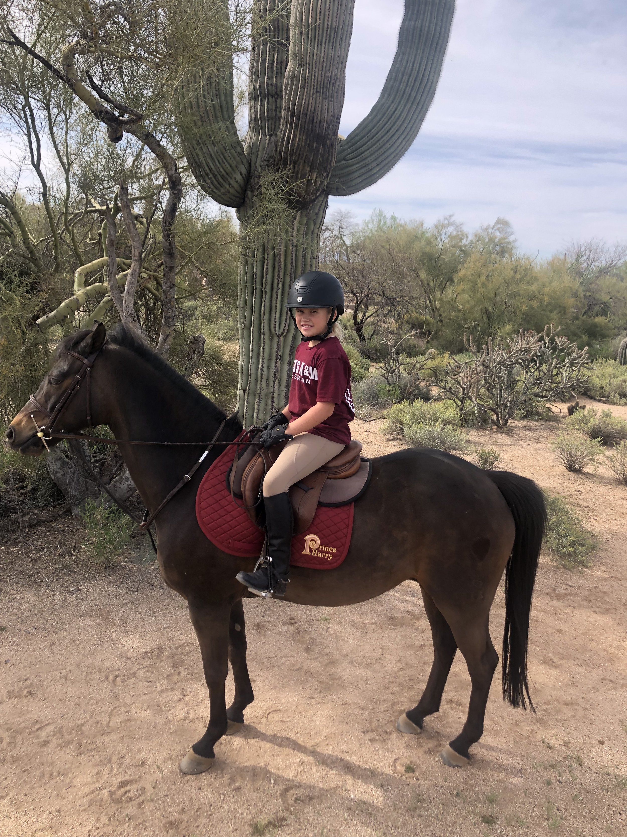 Gallery 1 — M&M Ranch