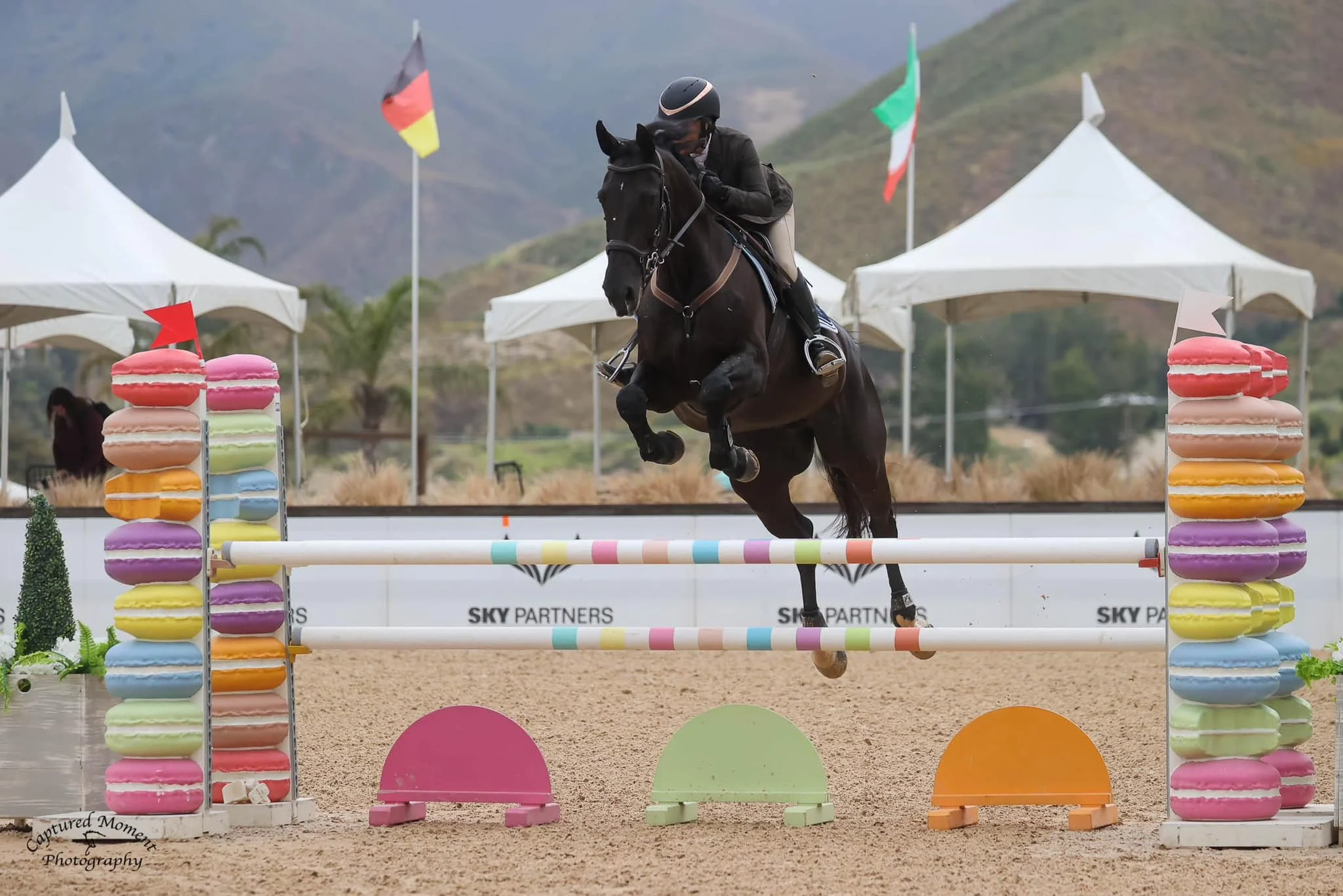 About 1 — MM Show Jumping