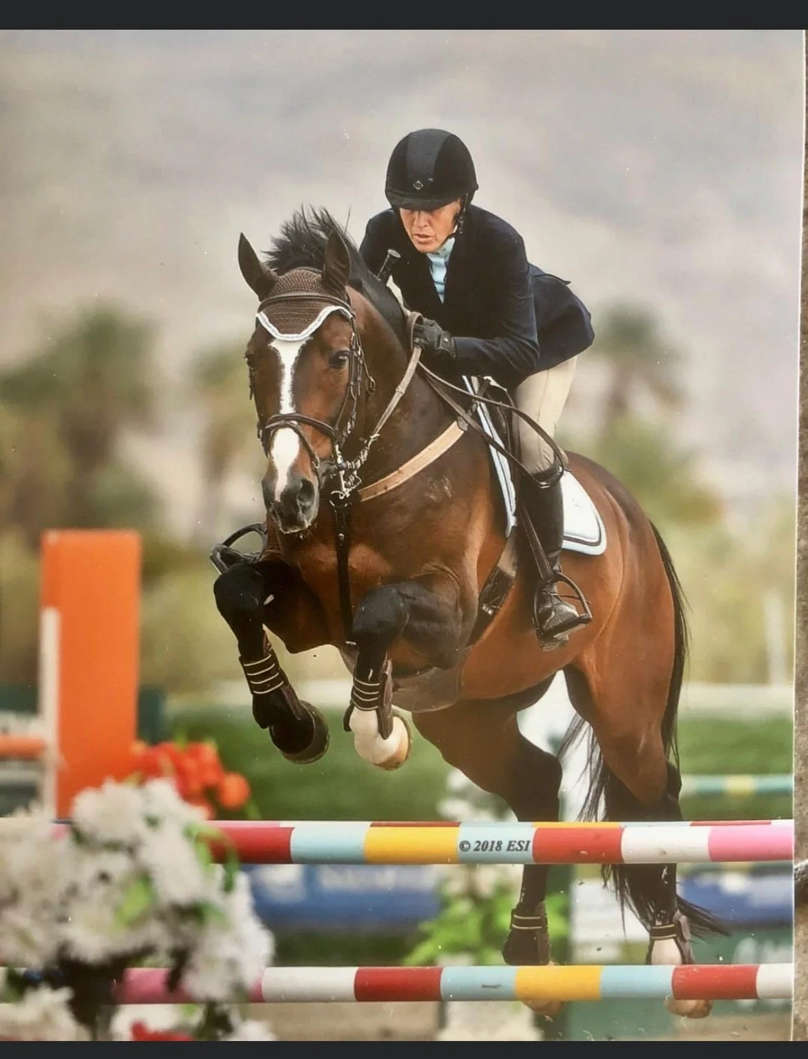 Gallery 1 — M&M Ranch