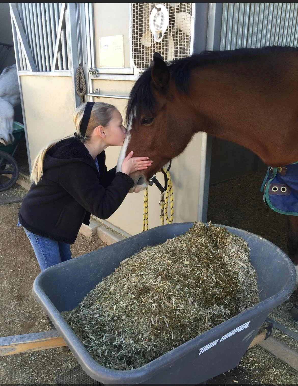 Gallery 1 — M&M Ranch