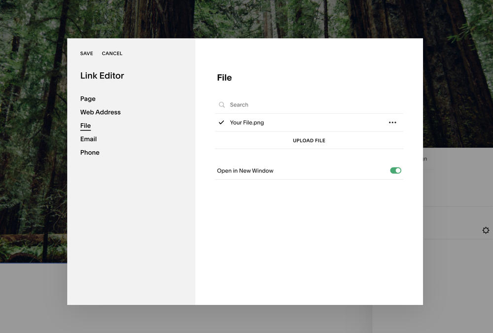 Static1 Squarespace - What Is It? | JayMade