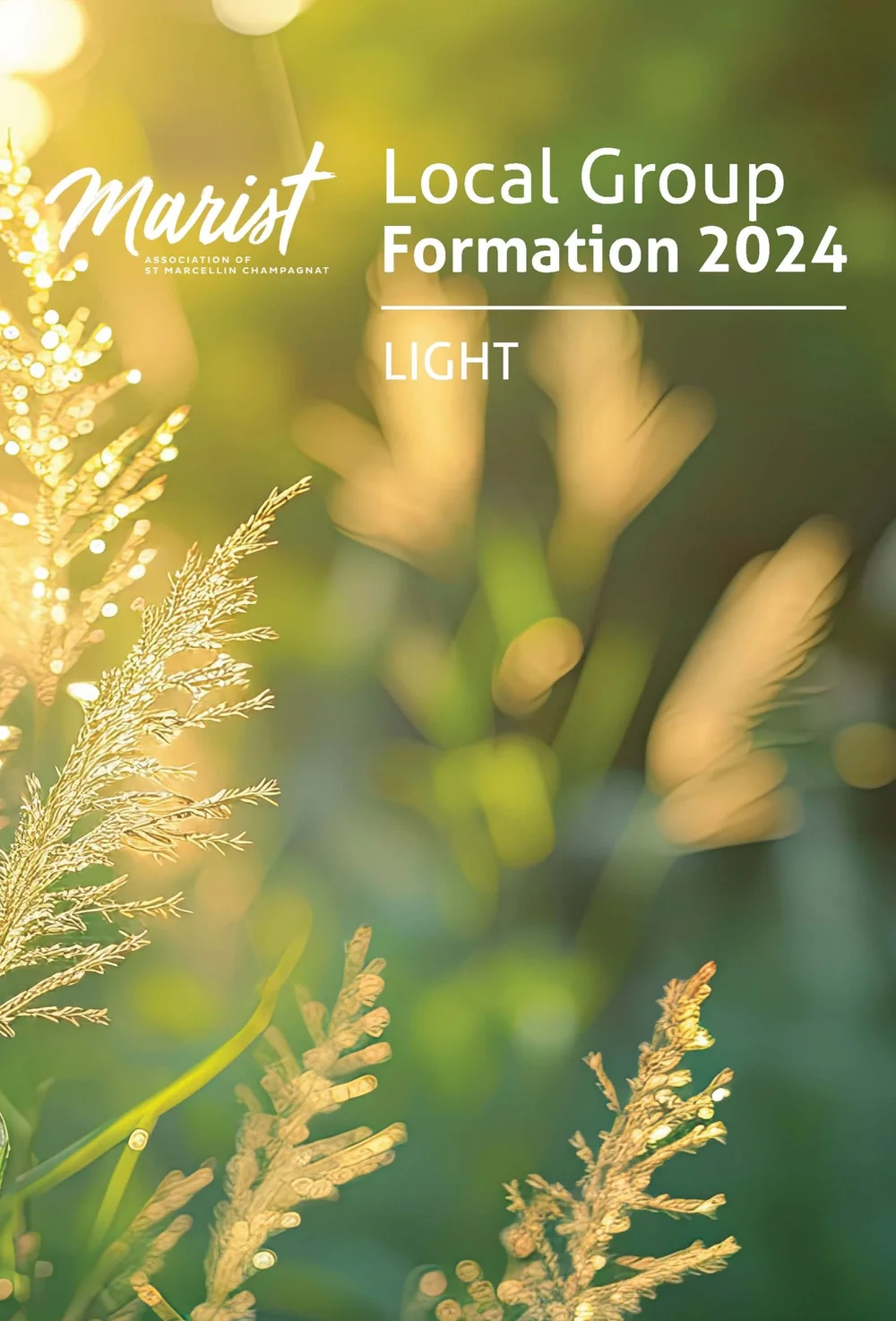 Local Group Formation Programs & Modules — Marist Mission and Life ...