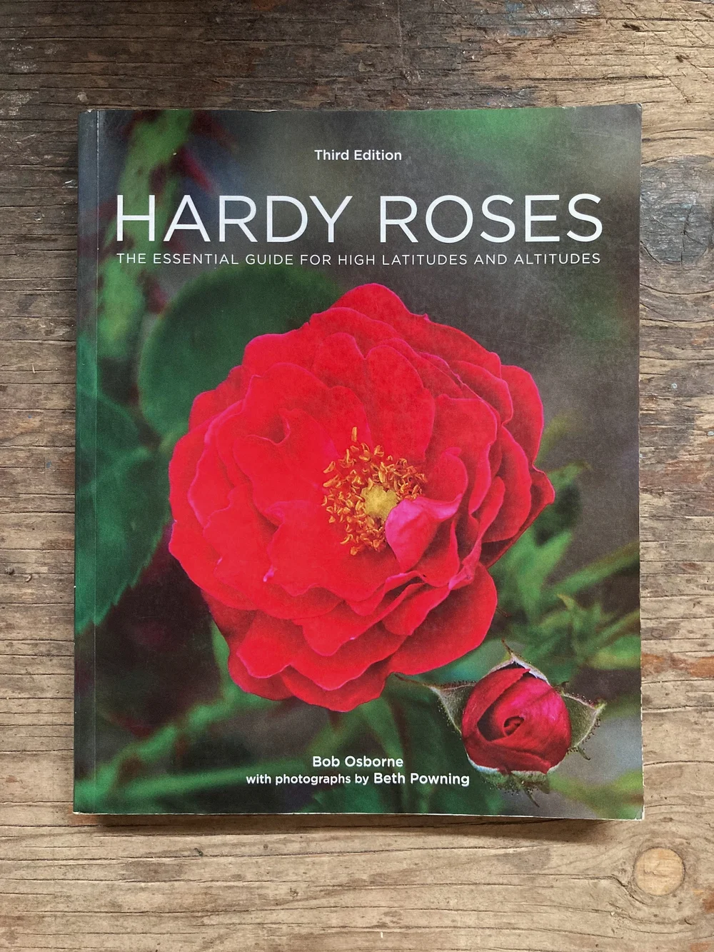 About Us — Corn Hill Nursery