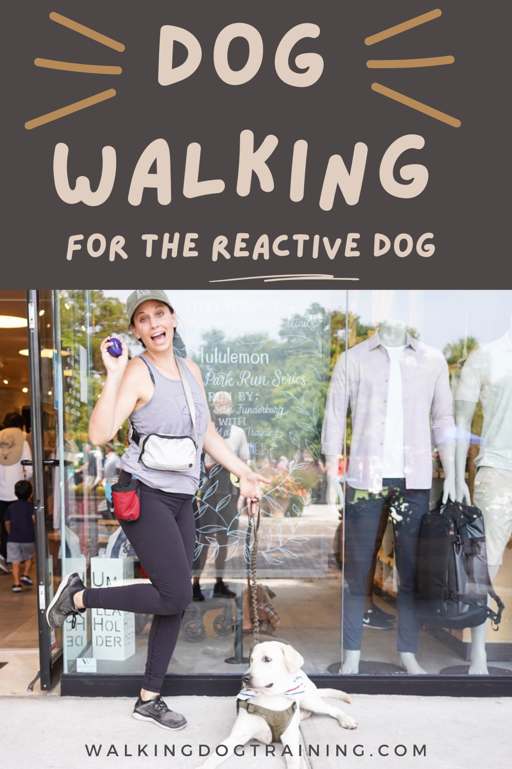 Five tips for leash reactivity — Walking Dog Training