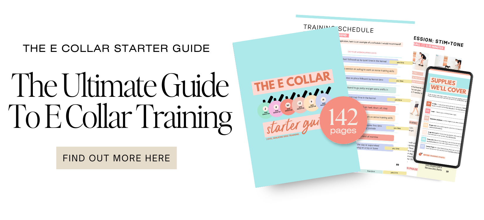 E-Collar Training | Walking Dog Training