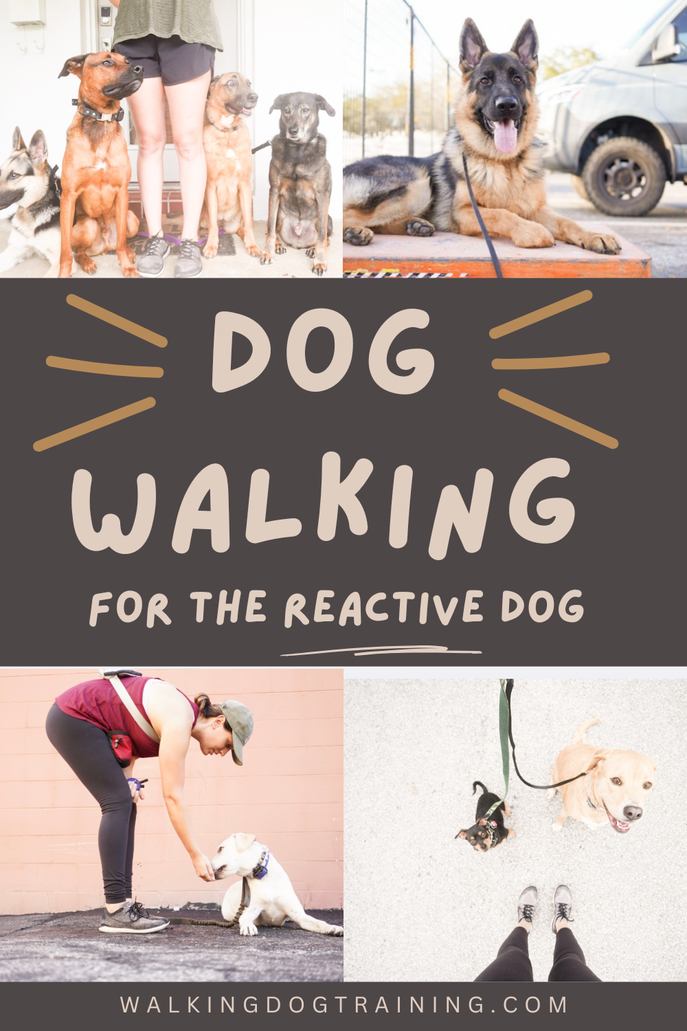 Five tips for leash reactivity — Walking Dog Training