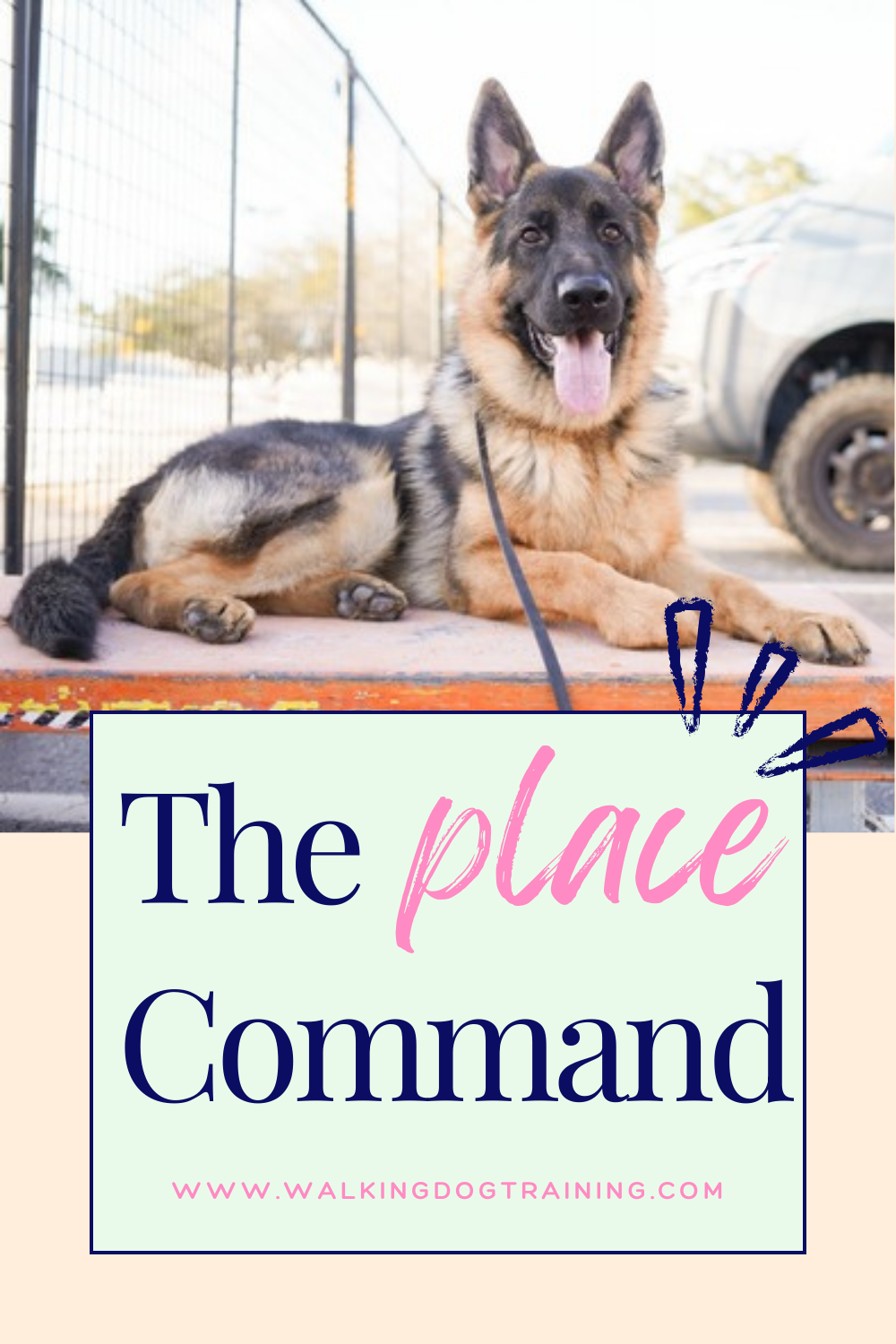 The Place Command - what exactly is it? — Walking Dog Training