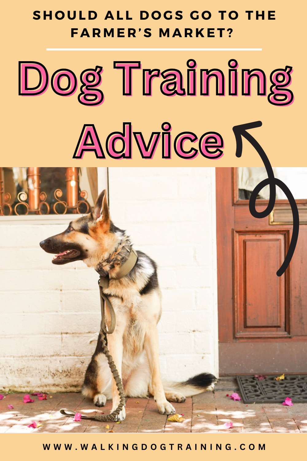 Not all dogs should go to the farmer's market - a lesson on dog training, reactivity, & exposure ...