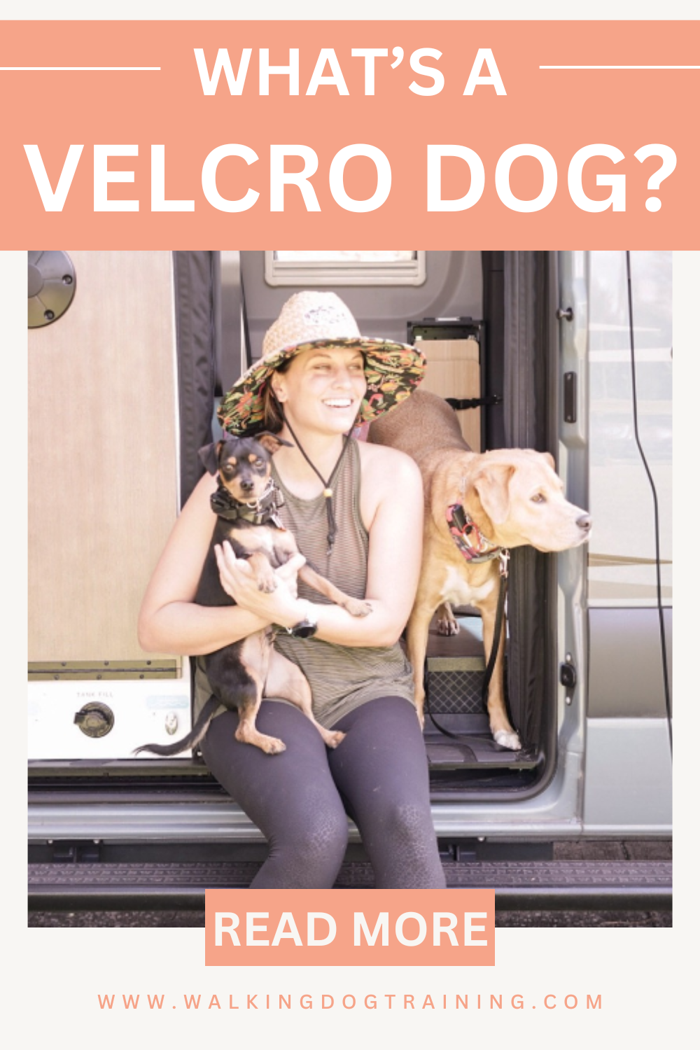 The Velcro Dog: Cute or no? — Walking Dog Training