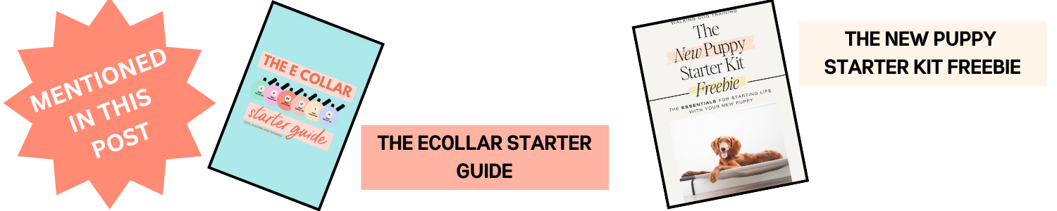 Crate Training Guide: How much kennel time is too much? — Walking Dog ...