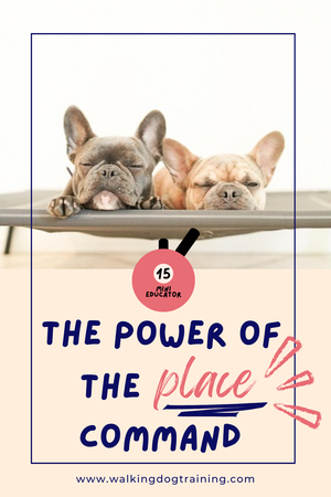 The Place Command - what exactly is it? — Walking Dog Training