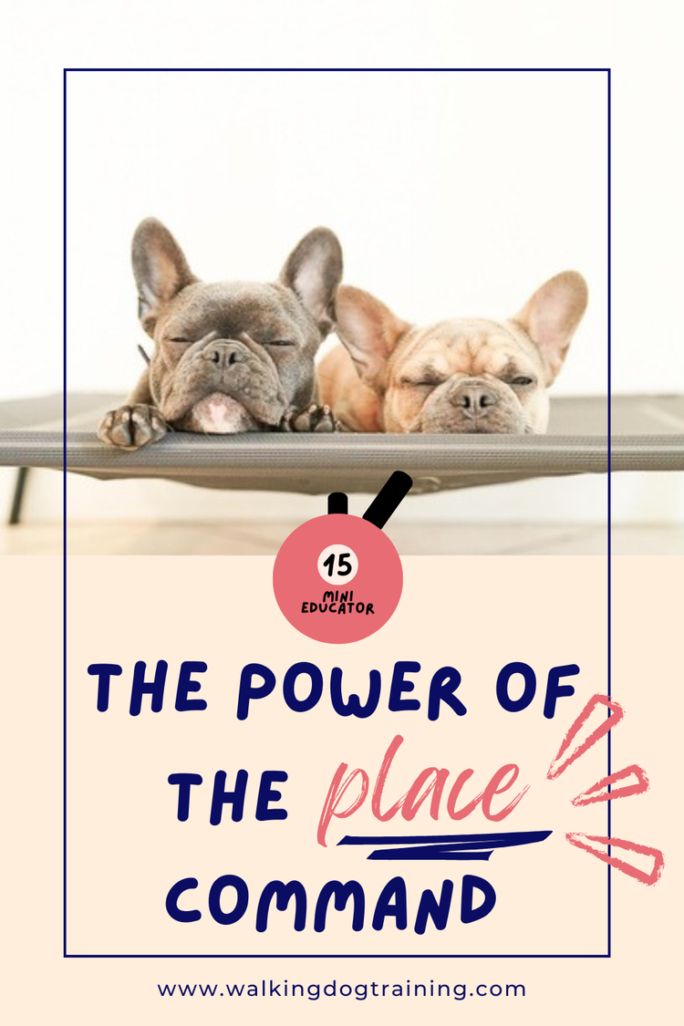 The Place Command - what exactly is it? — Walking Dog Training
