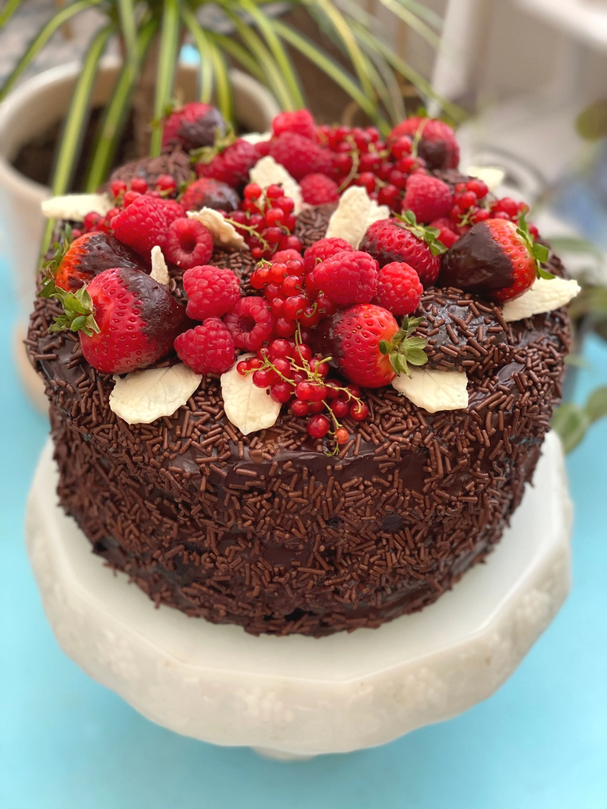 Cakes — The Clamorous Cicada