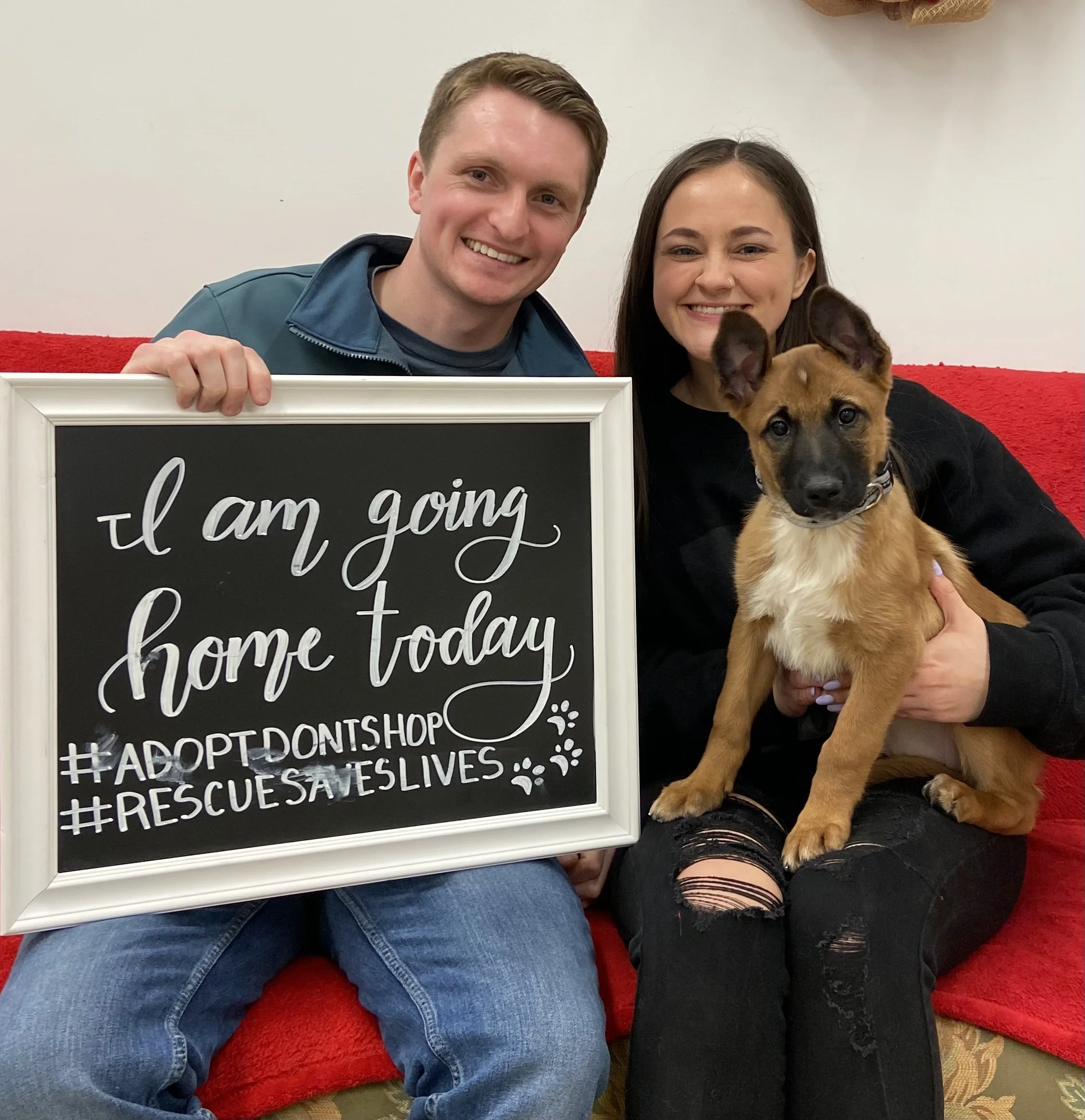 Adoptable Animals — FMAR