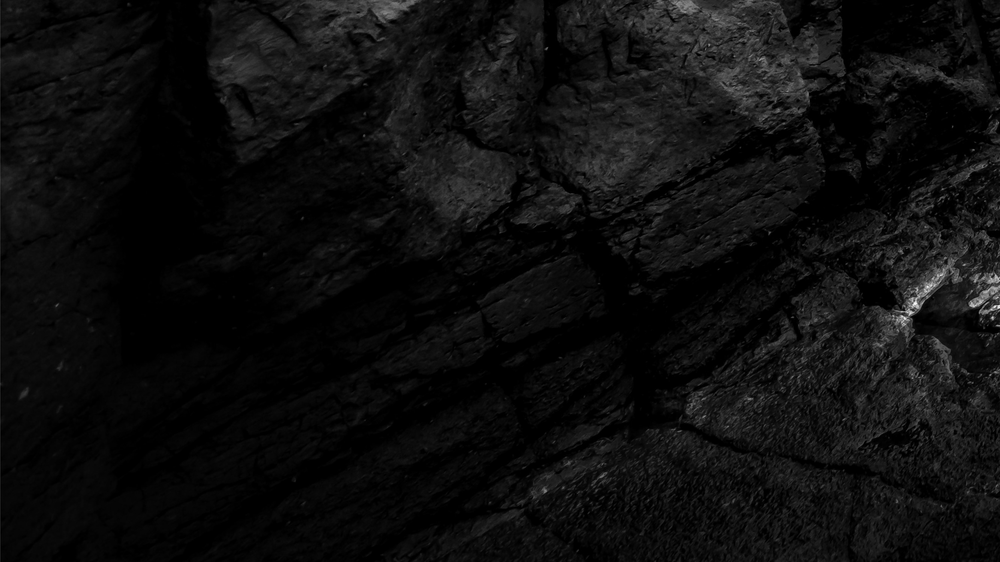 Brand and Web Design + Squarespace Support