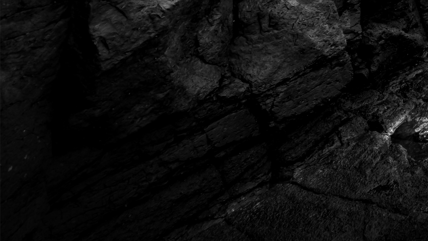 Brand and Web Design + Squarespace Support