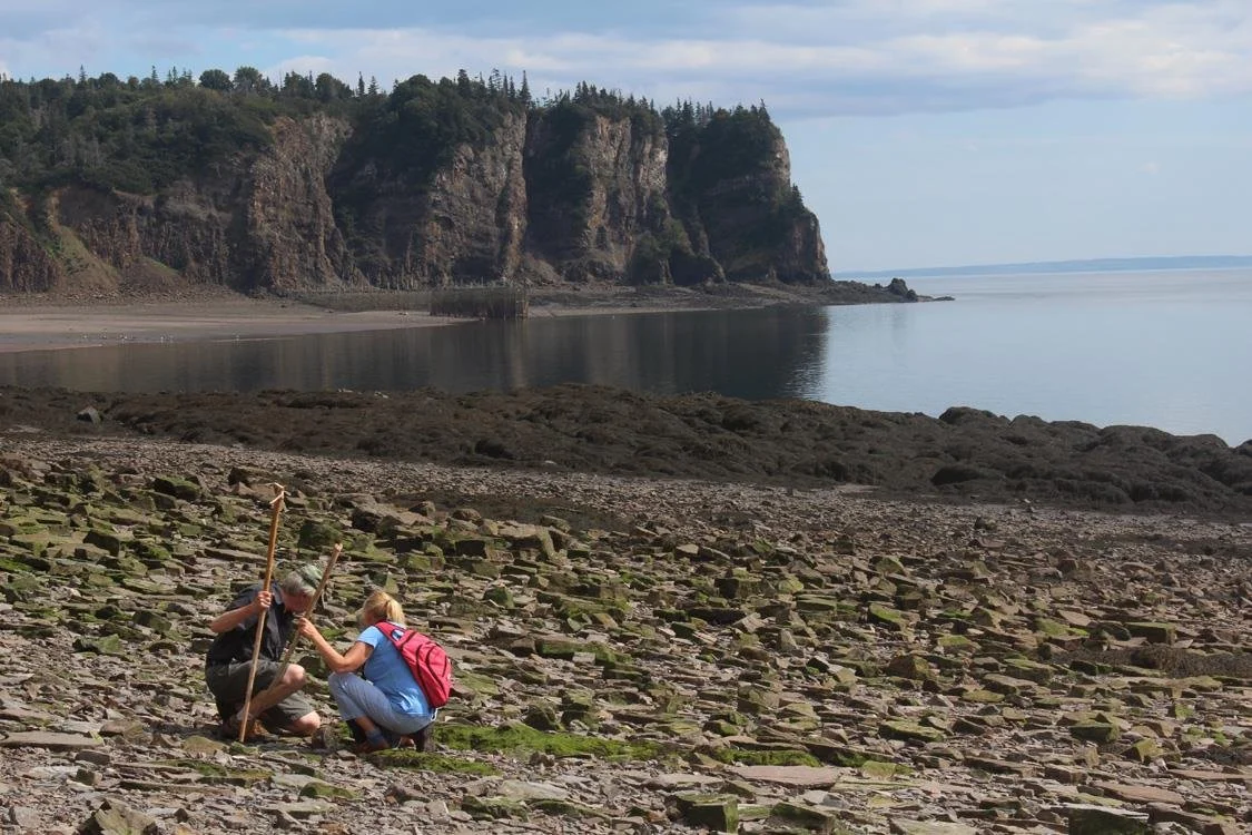 Partridge Island — Cliffs of Fundy Geopark
