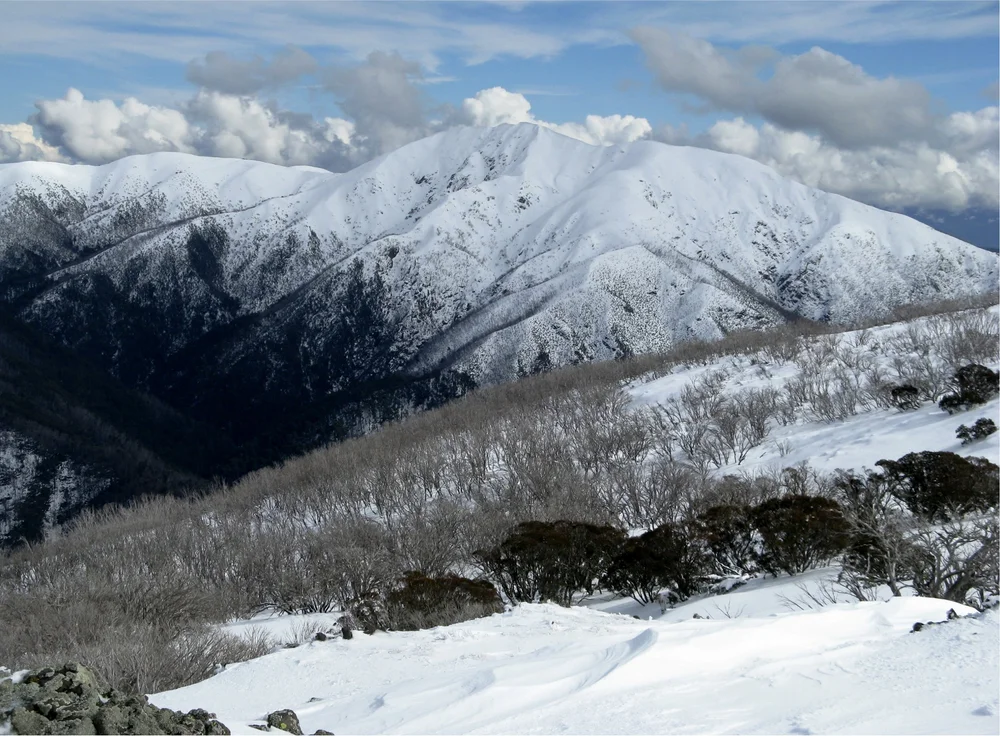 The Fainters via Jaitmathang — Victorian Backcountry Companion
