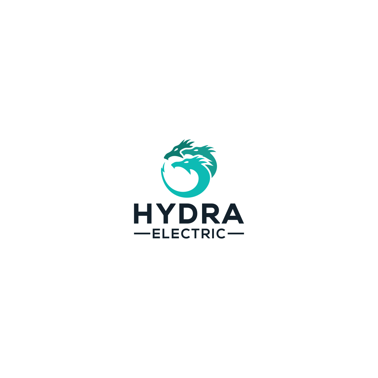 Our Story — Hydra Electric Ltd