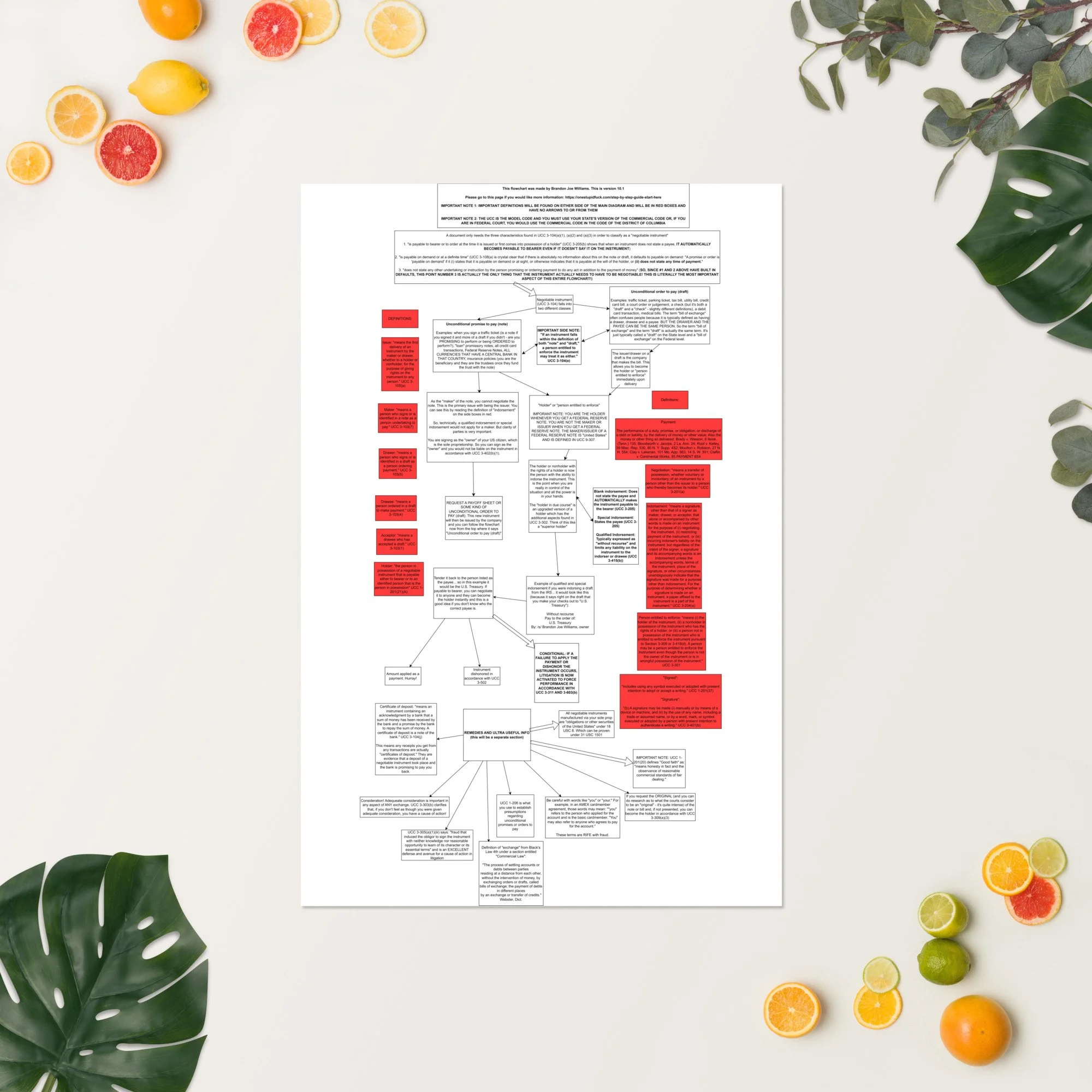 UCC Flowchart Poster — One Stupid Fuck