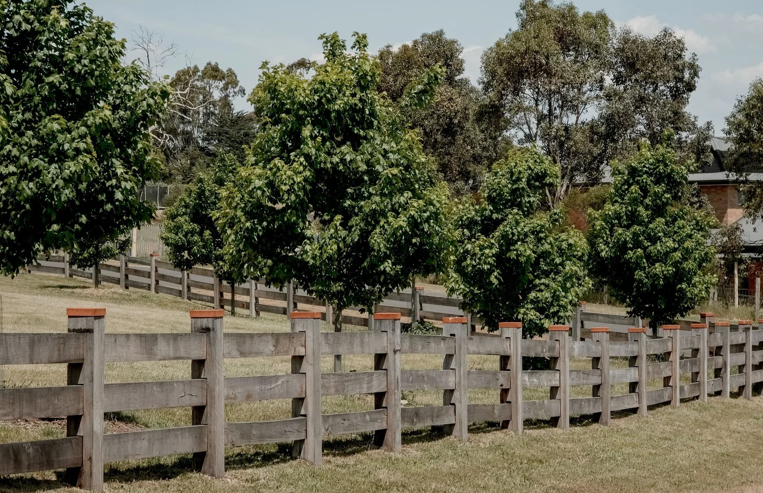 Post and Rail Fencing — Strukta