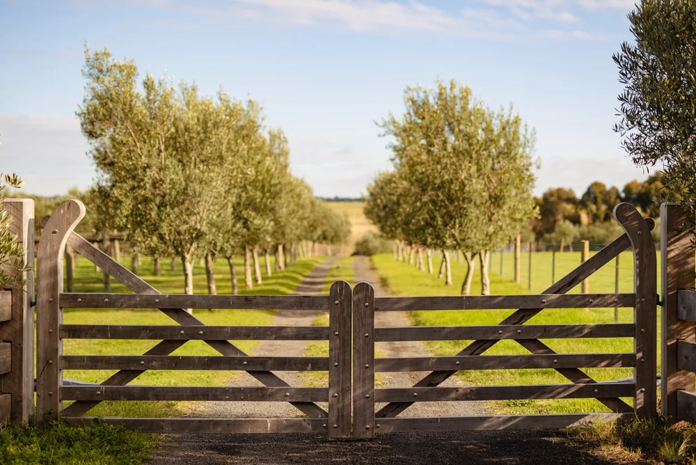 Custom Timber Gates — Strukta Fencing