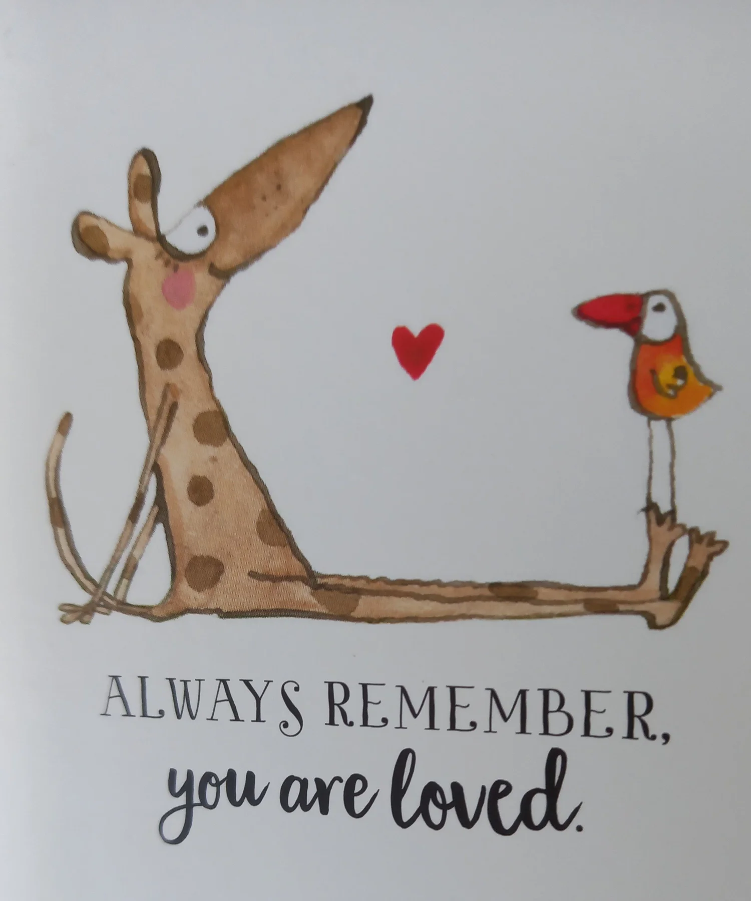 Memorial — Jade Reidy Communications