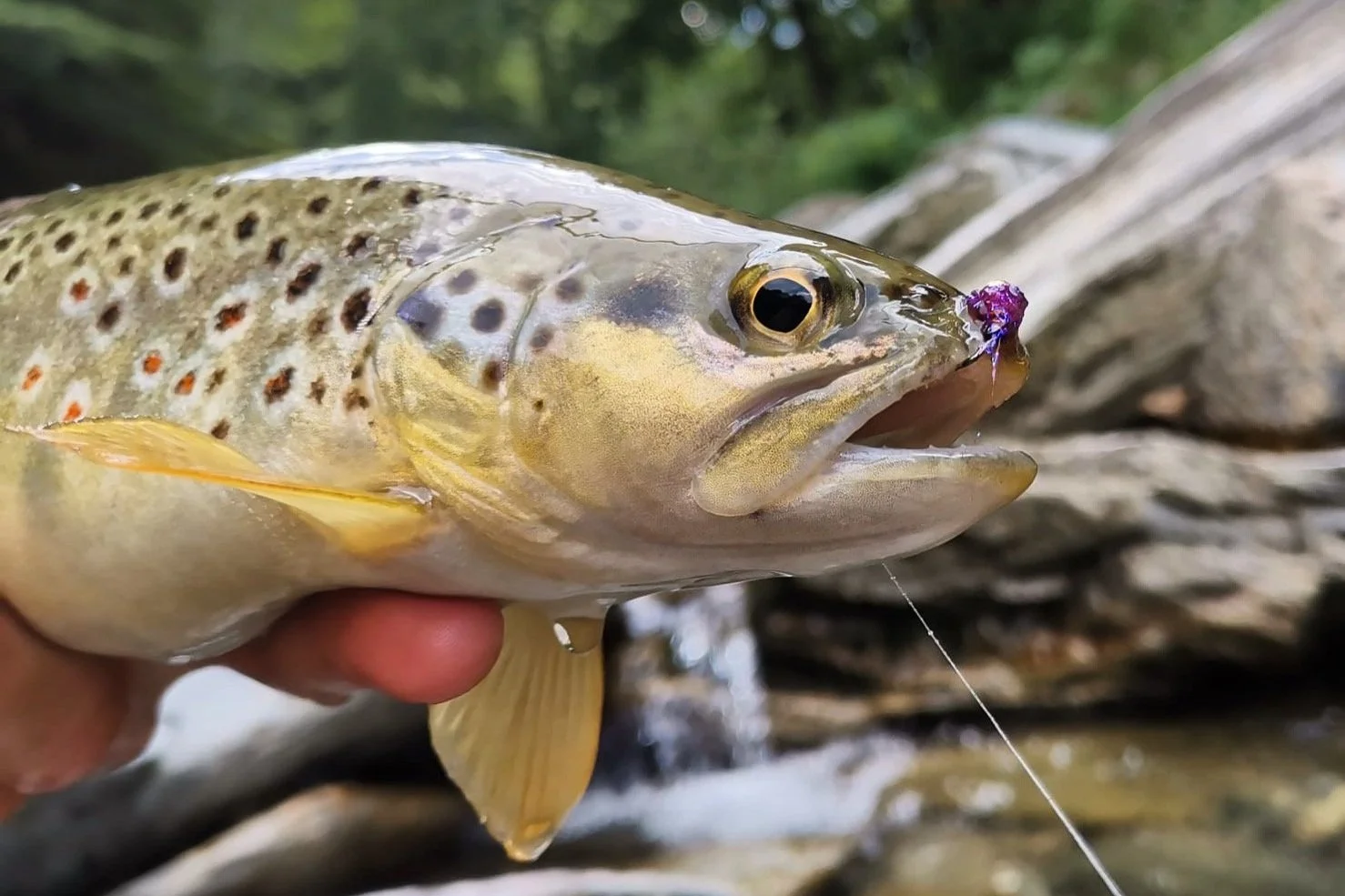Les différentes techniques de pêche - Blog - Catch the Fish - Guide et ...